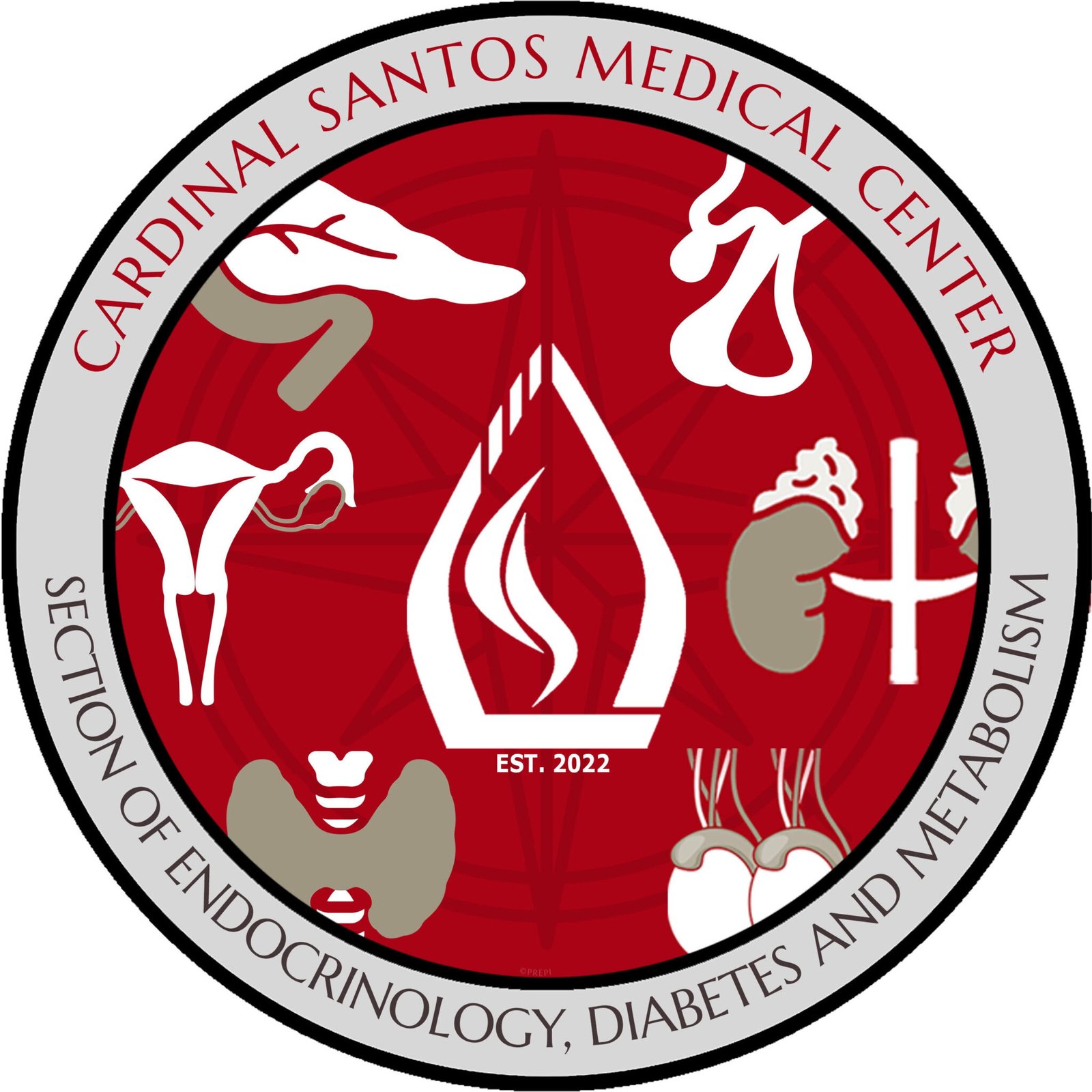 Training Institutions - Philippine College of Endocrinology Diabetes ...