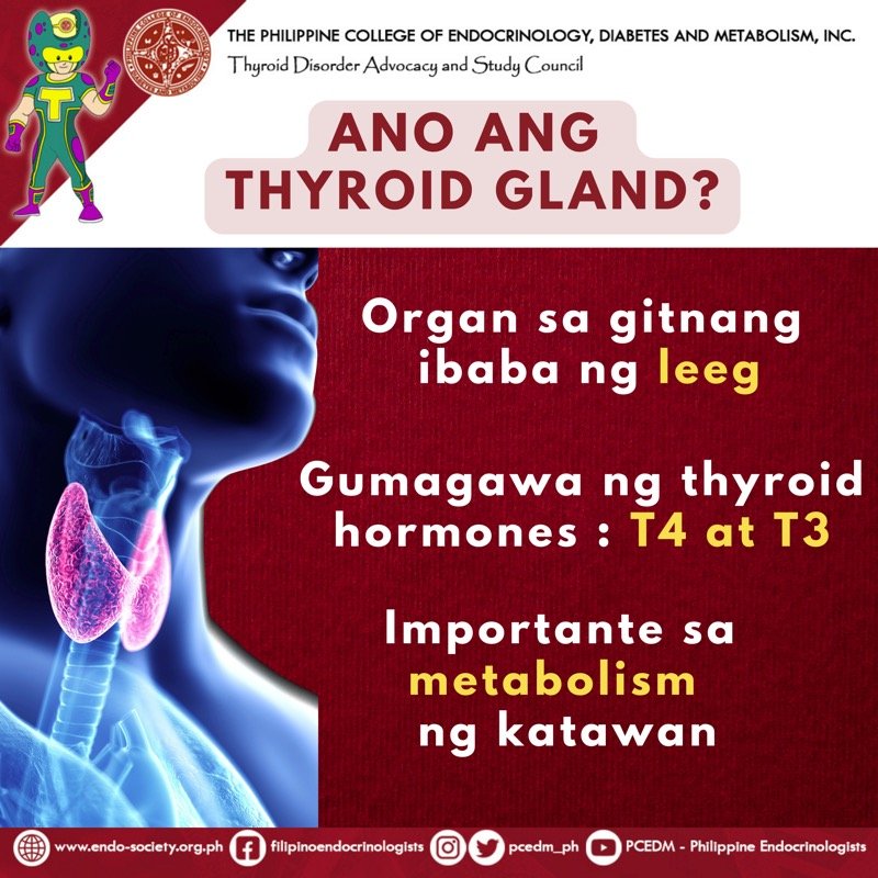 Thyroid Facts – Thyroid Dysfunction – Philippine College of ...