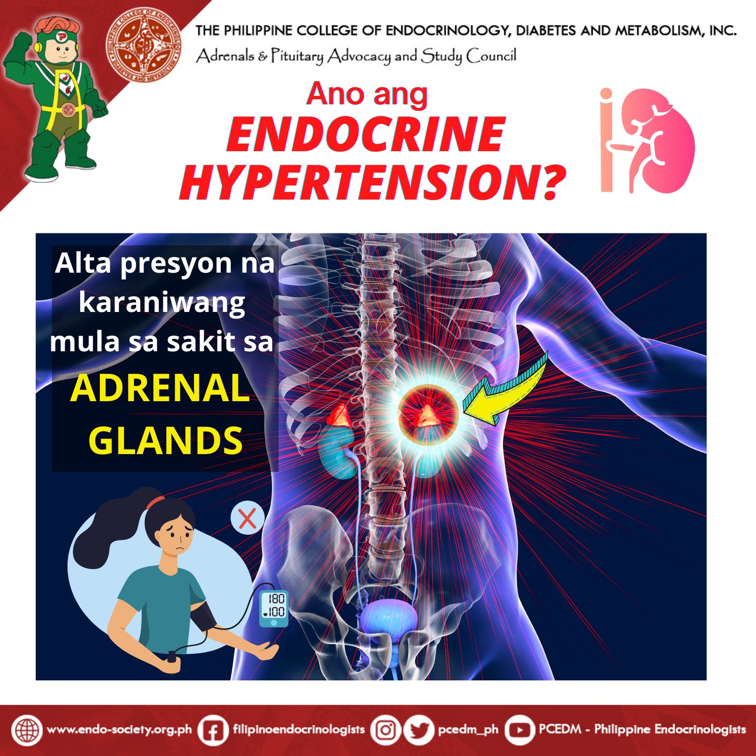Endocrine Facts - Endocrine Hypertension - Philippine College of ...